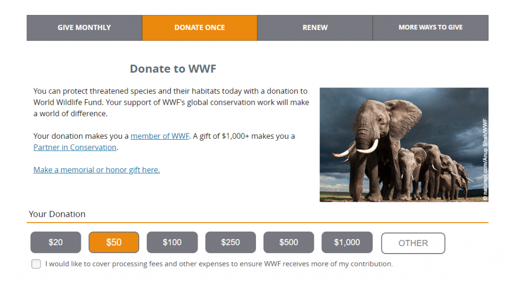 How to accept donations using WooCommerce - Wombat Plugins