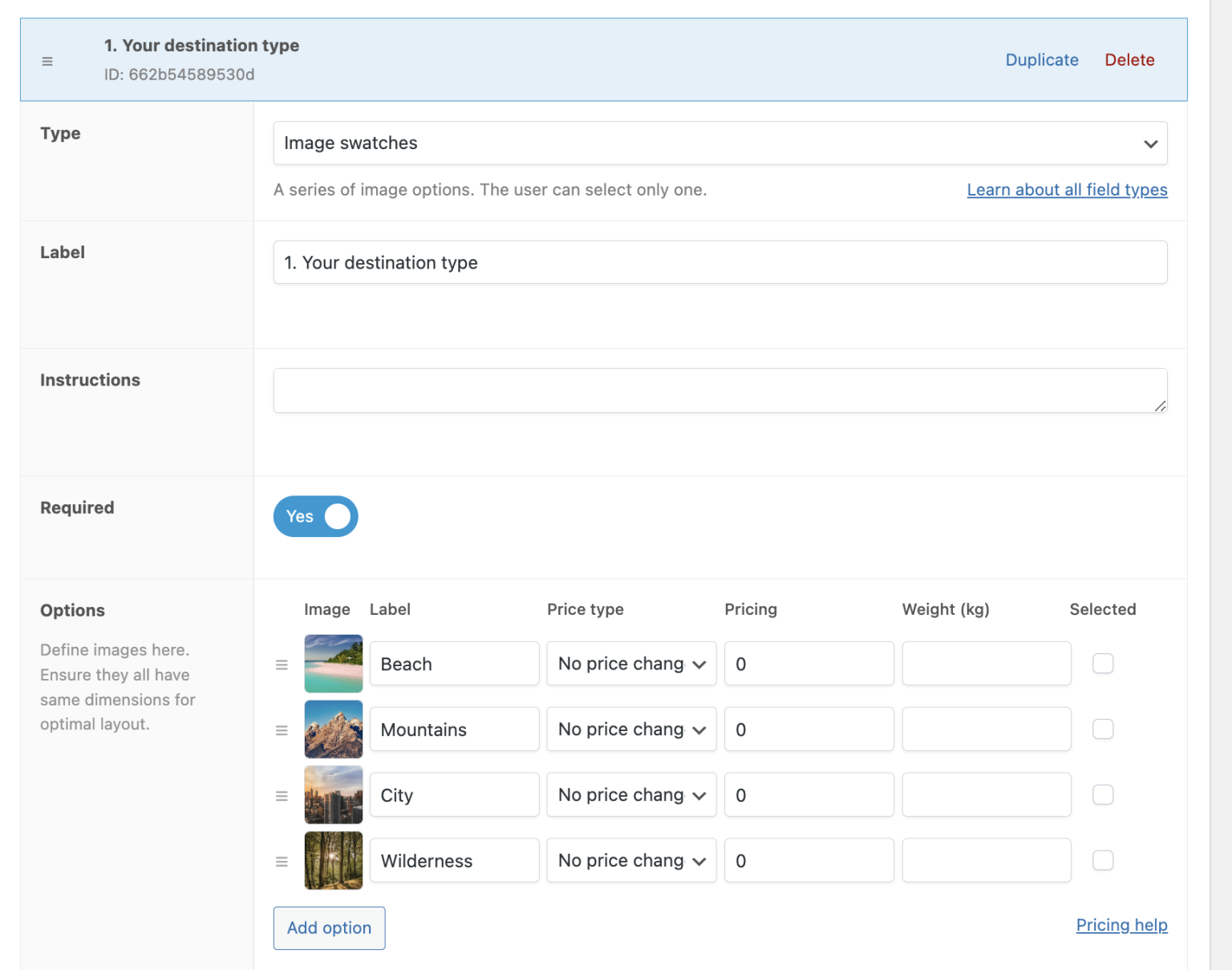 How to implement conditional logic - Wombat Plugins